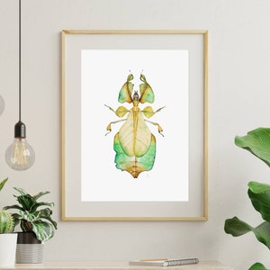 Leaf Insect Watercolor Illustration Insect Taxidermy Pinned - Etsy