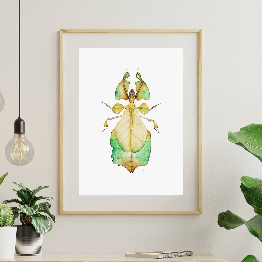 Leaf Insect Watercolor Illustration Insect Taxidermy Pinned - Etsy
