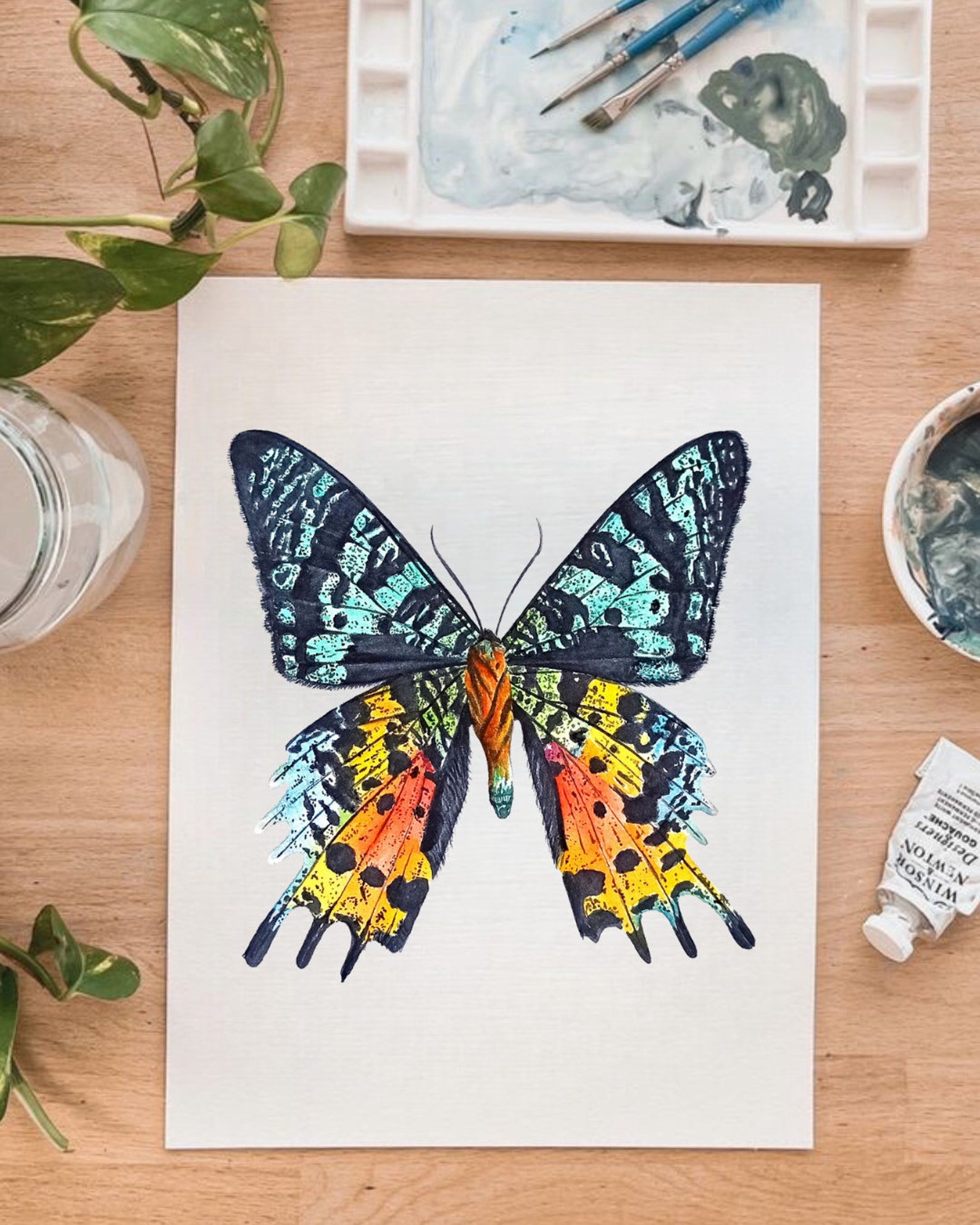 Sunset Moth Art Print of Watercolor Painting, Butterfly Pinned Art ...