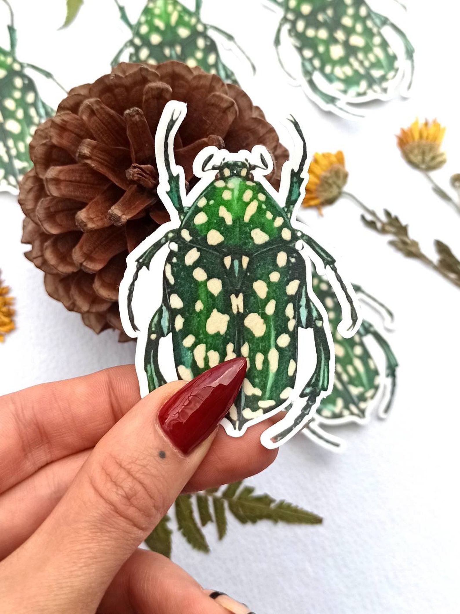 Flower Chafer Beetle Waterproof Sticker - Etsy