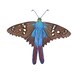 Butterfly Watercolor of Morpho Anaxibia, Madagascar Sunset Moth, Starry ...