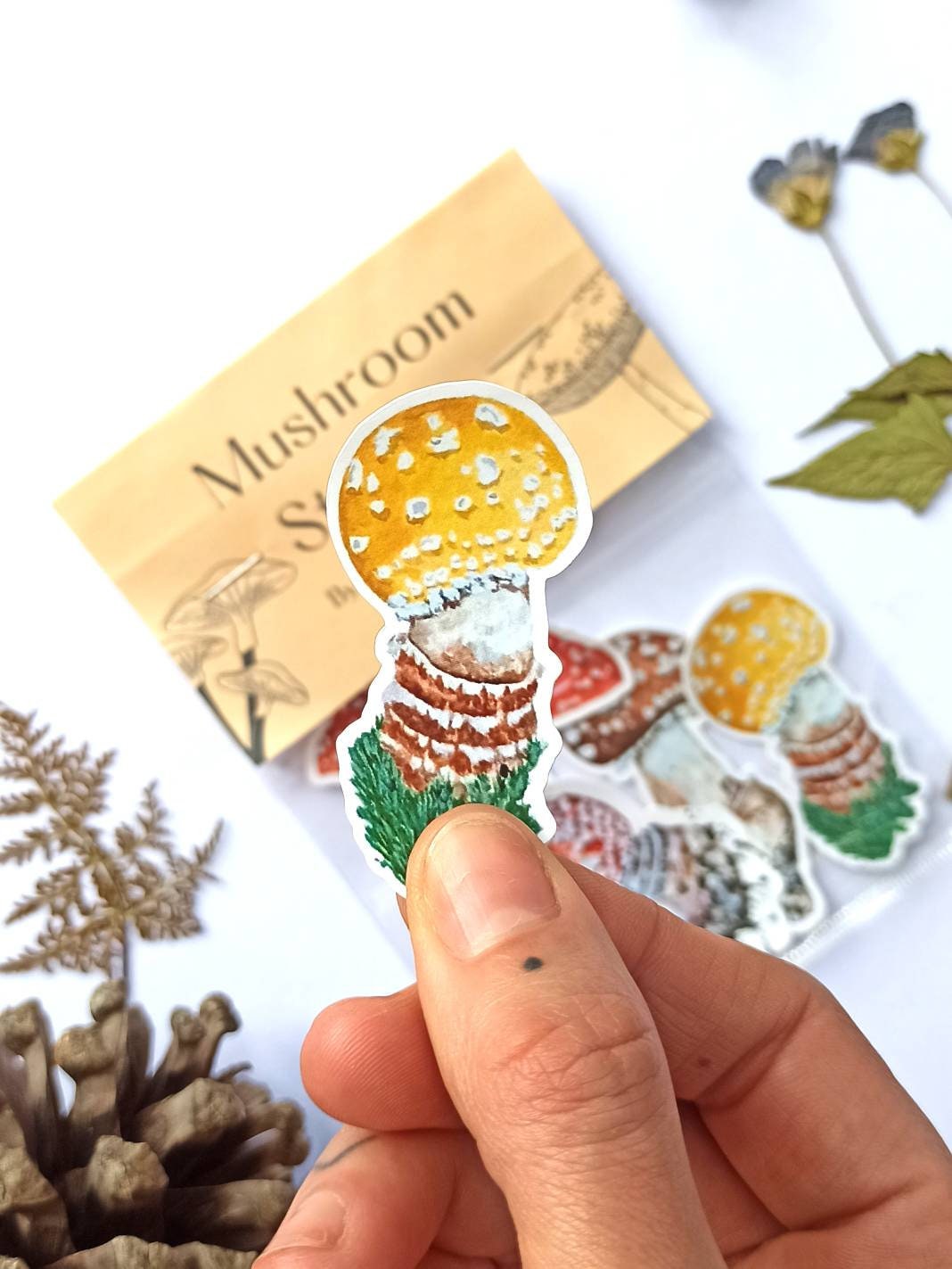 Mushroom Sticker Pack Amanita Muscaria Bundle Nature - Etsy