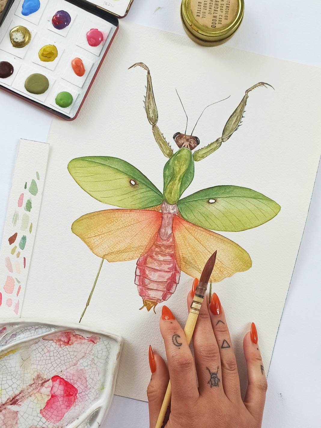 Praying Mantis Watercolor Illustration Print, Mantis Gift, Pinned ...