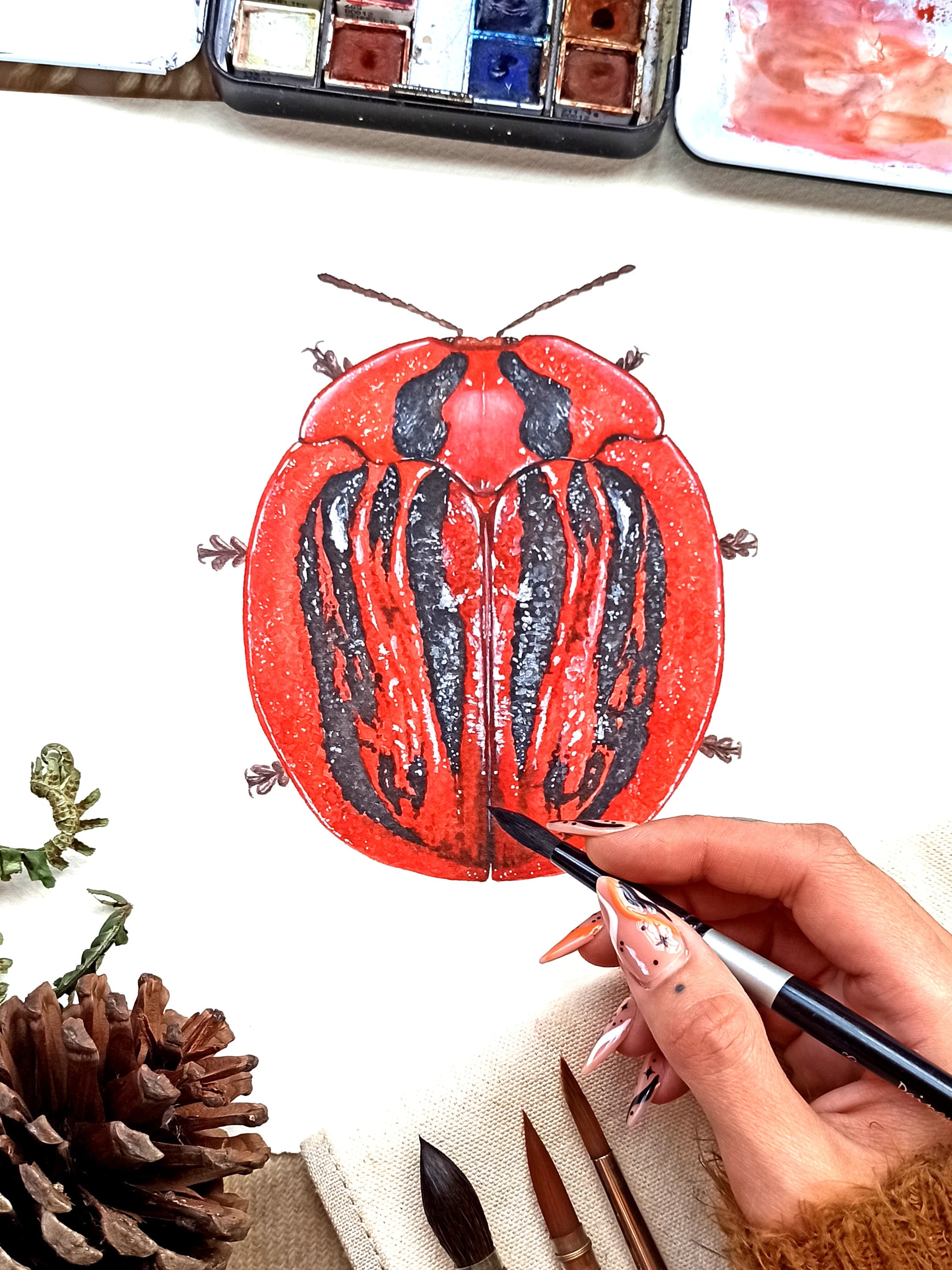 Red Insect Specimen Cassidinae Beetle Wall Art, Watercolor Illustration ...