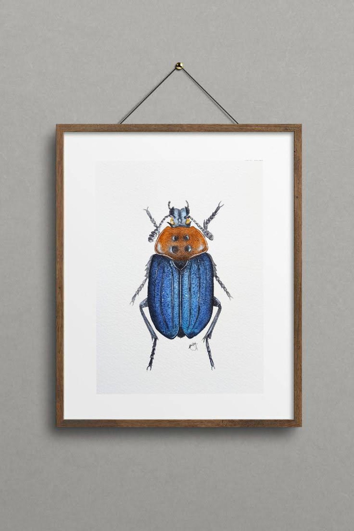 Pinned Insect Art Print of Blue Beetle Entomology Gift - Etsy