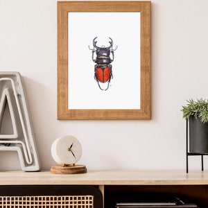 Stag Beetle Watercolor Print, Insect Wall Art, Entomology Gift, Insect ...