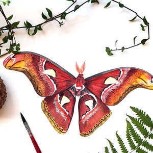 Atlas Moth Wall Art Print, Pinned Moth Art, Scientific Moth ...