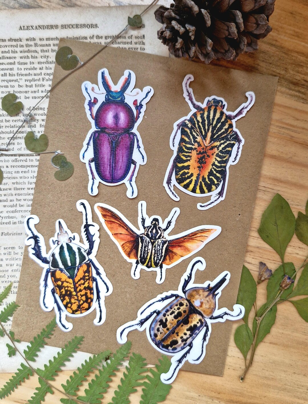 Bugs Sticker Pack, Colorful Beetle Sticker Set – 5 Unique Entomology ...