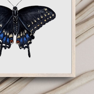 Black Swallowtail Butterfly Watercolor Art Print - Etsy