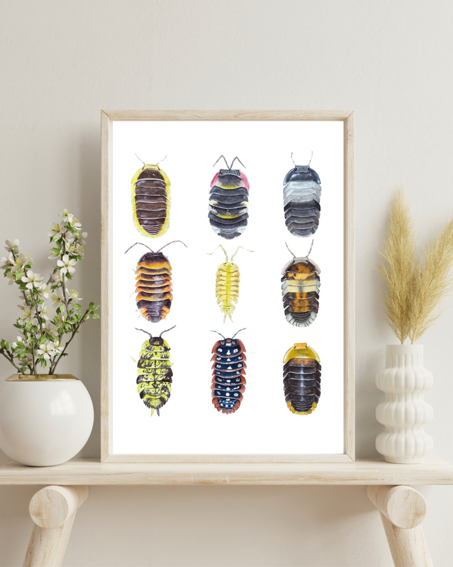 Rolly Polly Study Watercolor Illustration, Isopods Wall Art - Etsy