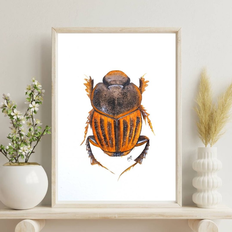 Watercolor Beetle - Etsy