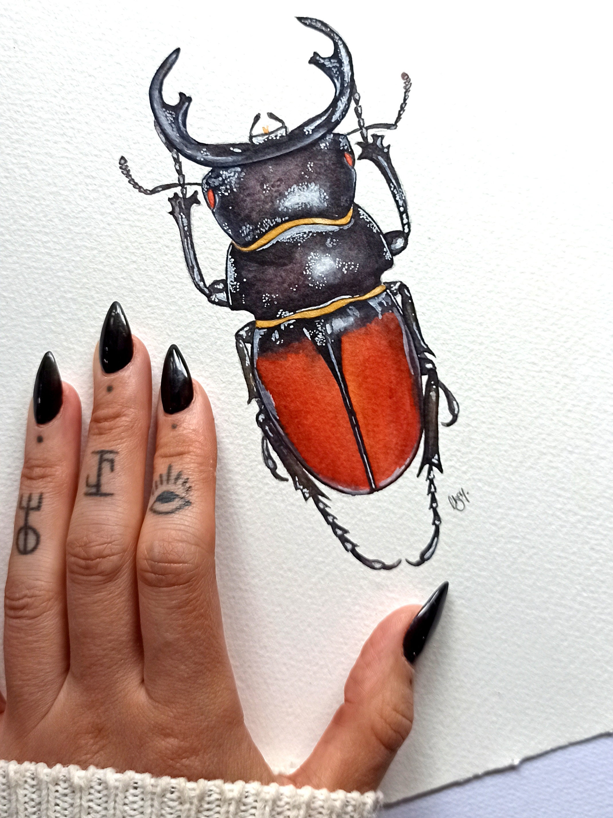 Stag Beetle Watercolor Print, Insect Wall Art, Entomology Gift, Insect ...
