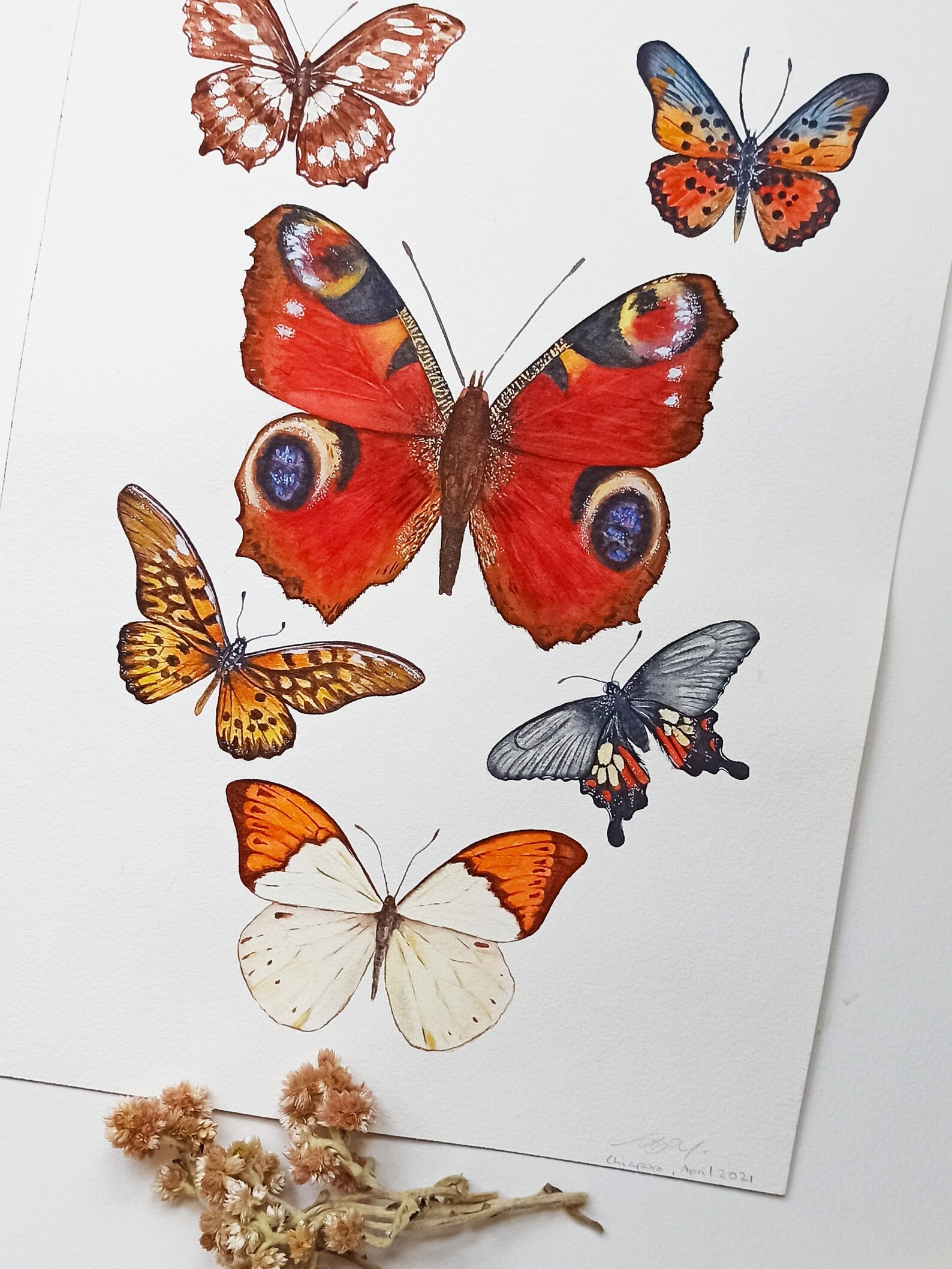 Butterflies Nature Art Print, Colorful Living Room Wall Decor, Gift for ...