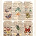 Gift Tags Digital Download Bugs and Butterflies Printable - Etsy