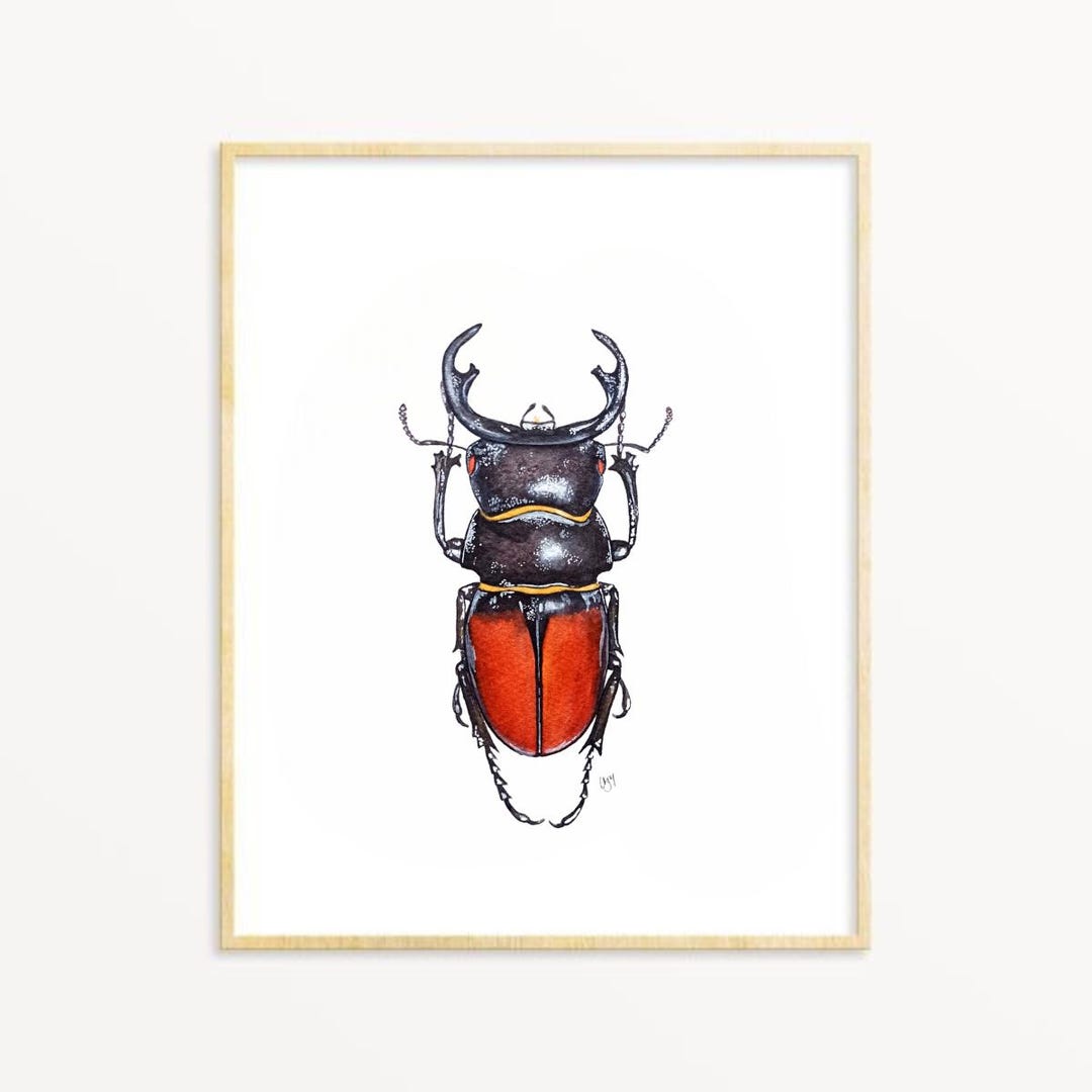 Stag Beetle Watercolor Print, Insect Wall Art, Entomology Gift, Insect ...
