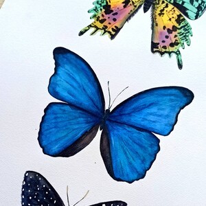 Butterfly Watercolor of Morpho Anaxibia Madagascar Sunset - Etsy