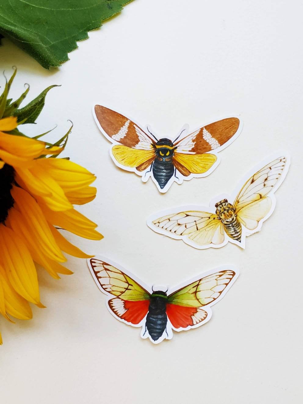 Cicada Stickers Pack Cicada Chasers Stickers Insect - Etsy