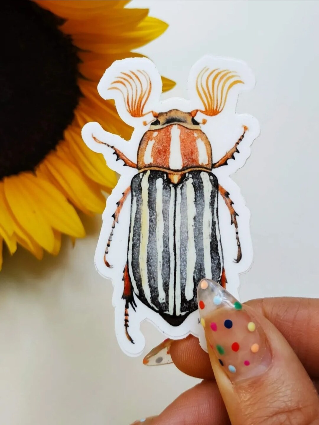 June Beetle Waterproof Sticker, Entomology Gift - Etsy