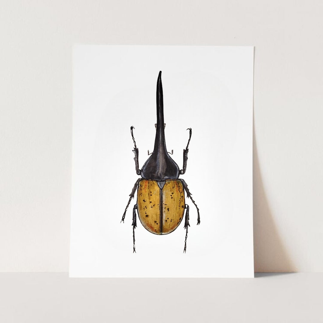 Hercules Beetle Art Print, Insect Watercolor Painting, Entomology Art ...