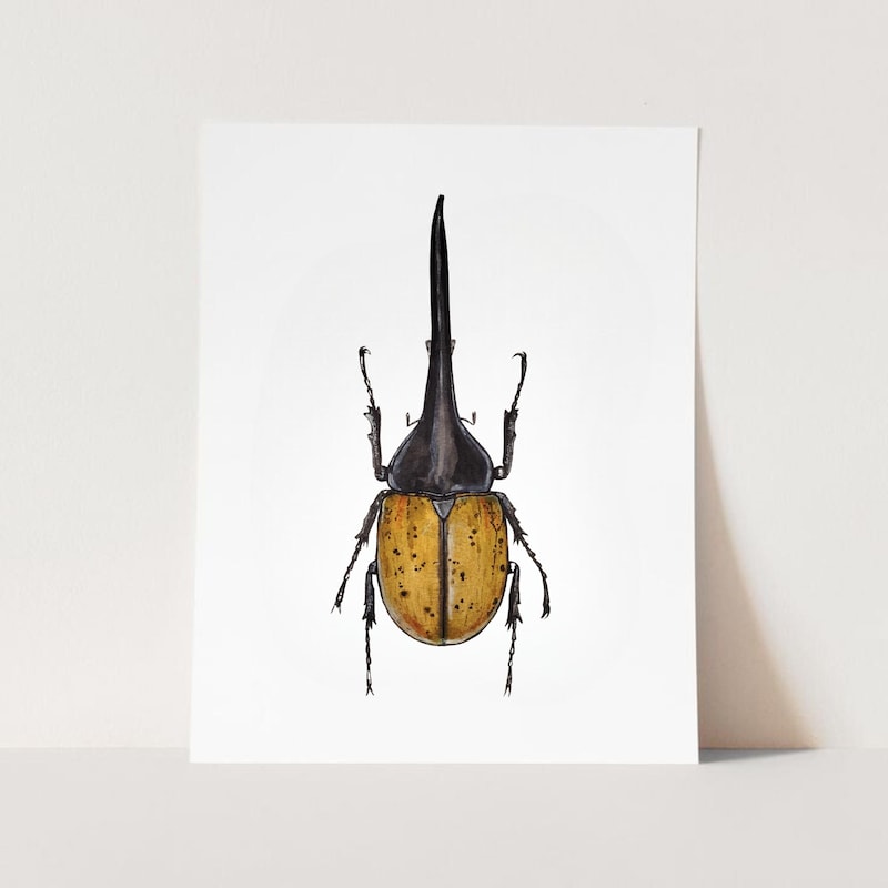 Bug Prints - Etsy