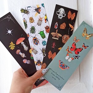 Witchy Bookmark, Insect Bookmarks, Beetles, Oddities Bookmarks, Gift ...