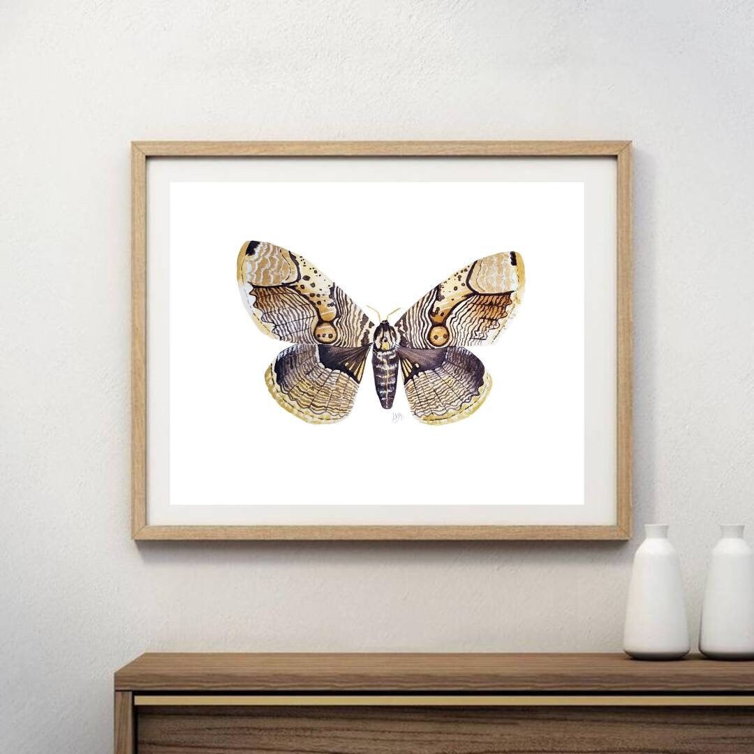 Owl Moth Watercolor Print Brahmaea Moth Entomologist Gift - Etsy