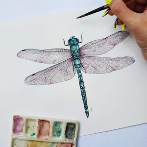 Insect Print of Dragonfly Watercolor Illustration, Insect Taxidermy ...