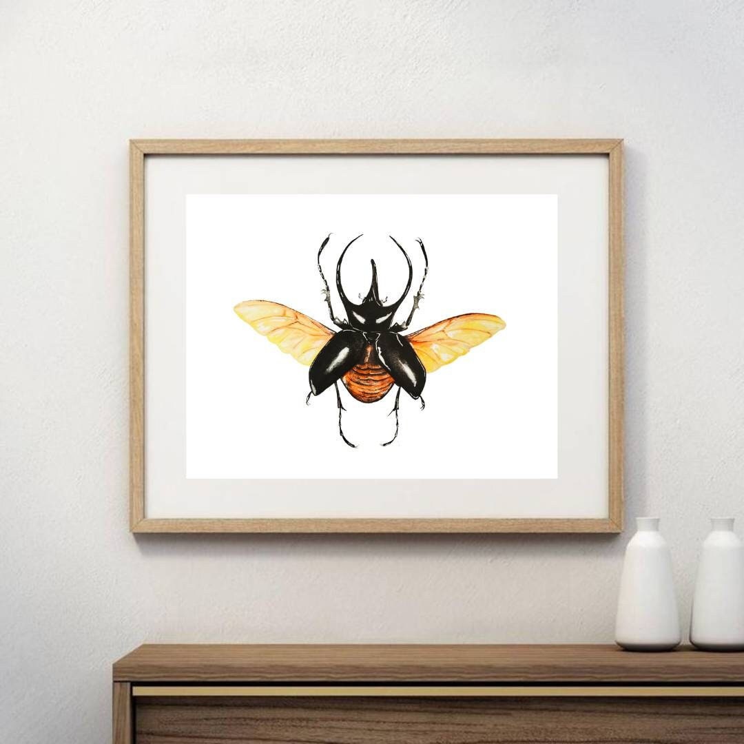 Atlas Beetle Wall Art Print, Entomology Illustration, Insect Anatomy ...