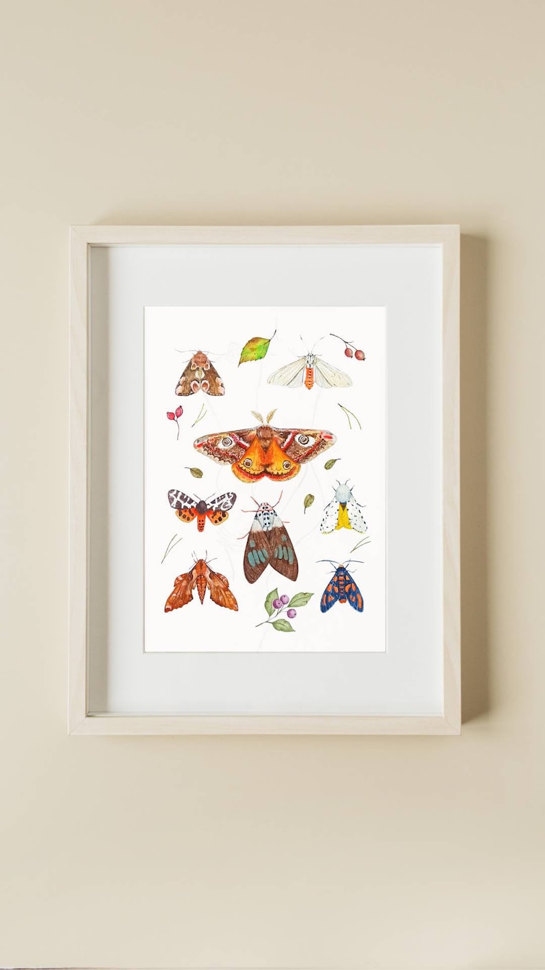 Moth Art Print Botanical Watercolor Moths and Berries - Etsy