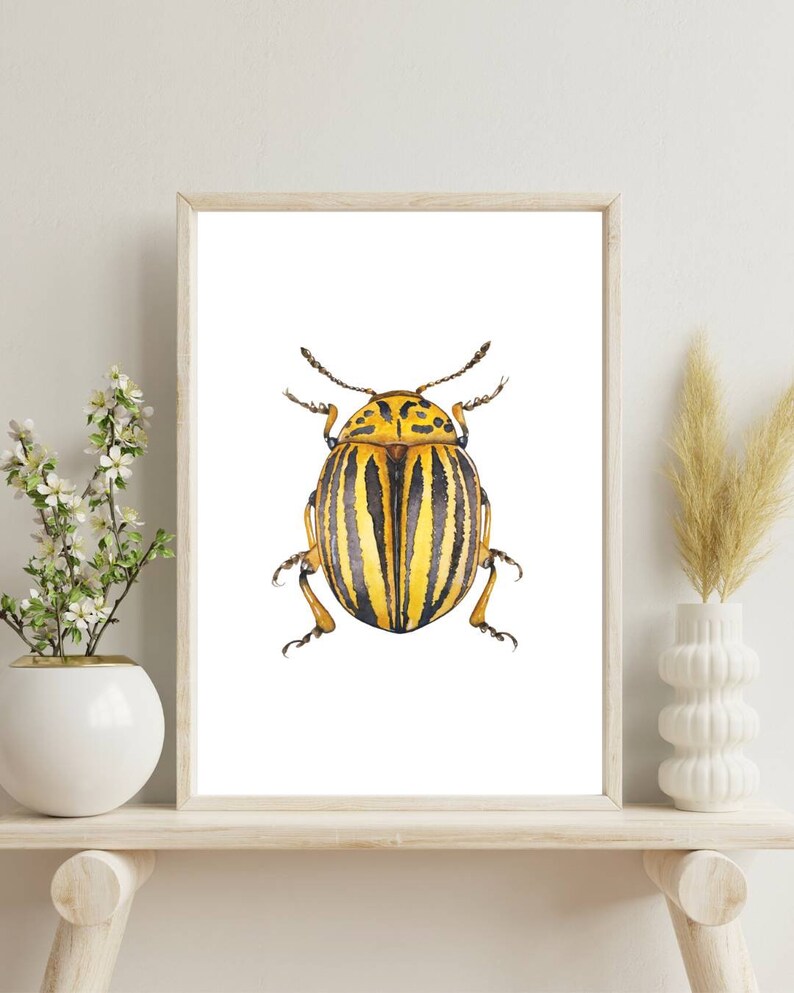Insect Wall Art Print of Beetle Watercolor Painting, Gift for Teacher ...