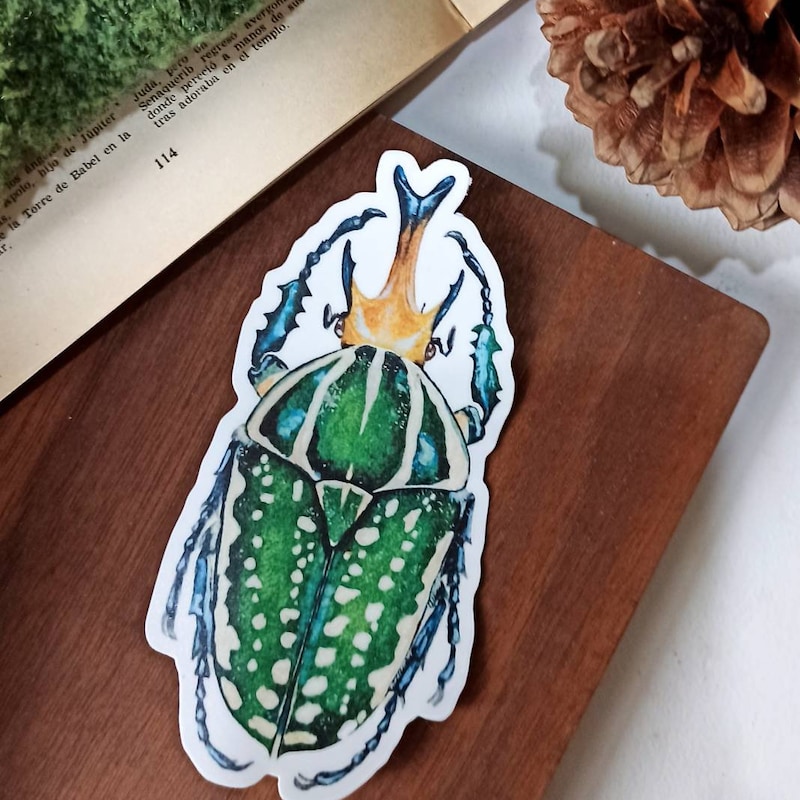 Insect Decals - Etsy
