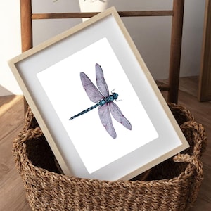 Insect Print of Dragonfly Watercolor Illustration, Insect Taxidermy ...