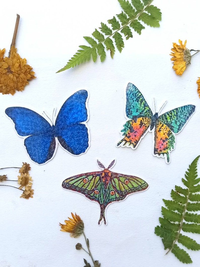 Butterfly Holographic Sticker Pack Hydroflask Stickers Cute - Etsy