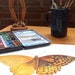 Great Spangled Fritillary Butterfly Illustration - Etsy
