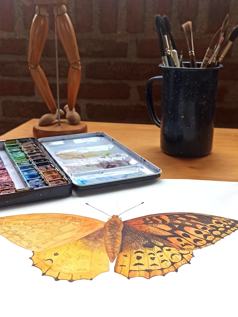 Great Spangled Fritillary Butterfly Illustration - Etsy