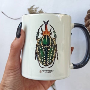 Insect Coffee Mug, Beetle Ceramic Cup, Teacher Gift, Entomology Gift ...