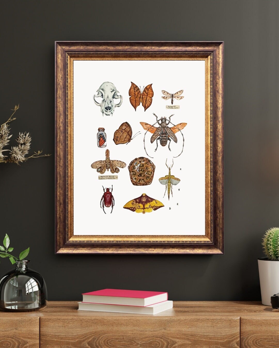 Insects Wall Art Print Skull Moth Insect Beetle Turtle - Etsy
