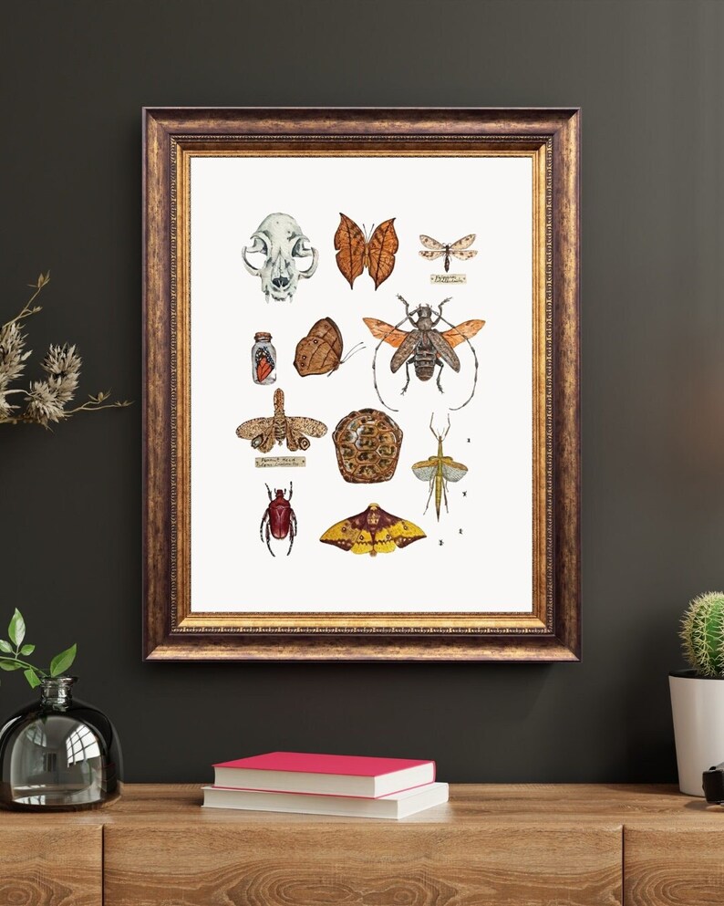 Insects Wall Art Print, Skull, Moth, Insect, Beetle, Turtle Shell ...