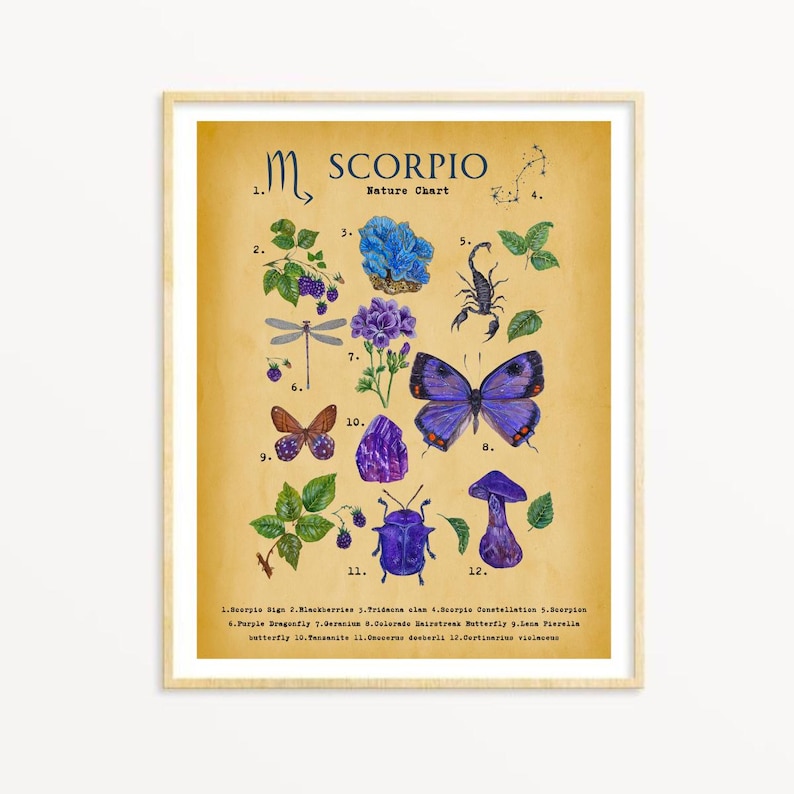 Scorpio Zodiac Art Print: Watercolor Astrology Illustration - Etsy