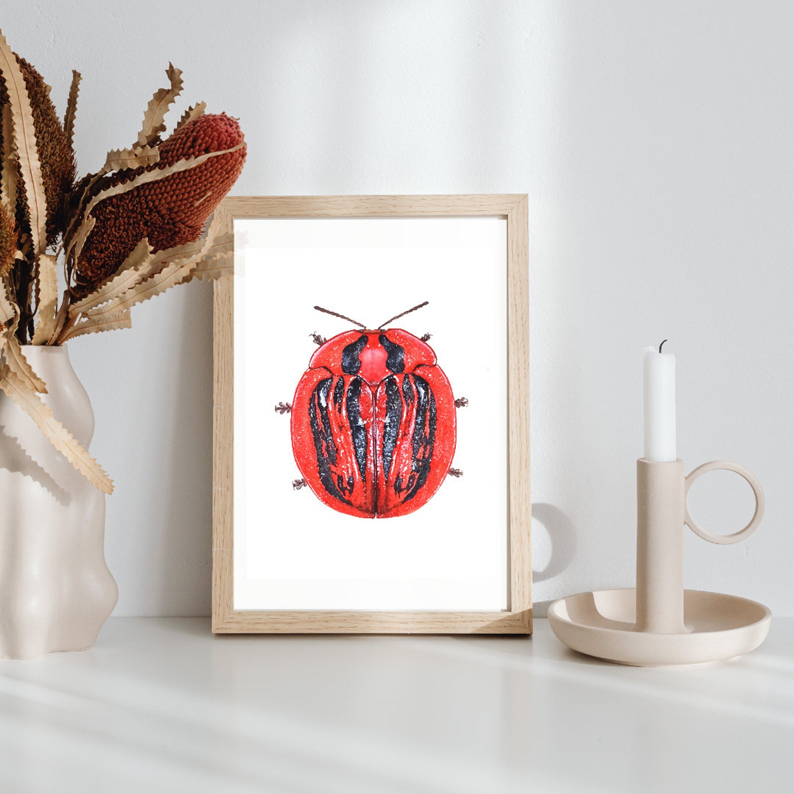 Red Insect Specimen Cassidinae Beetle Wall Art, Watercolor Illustration ...