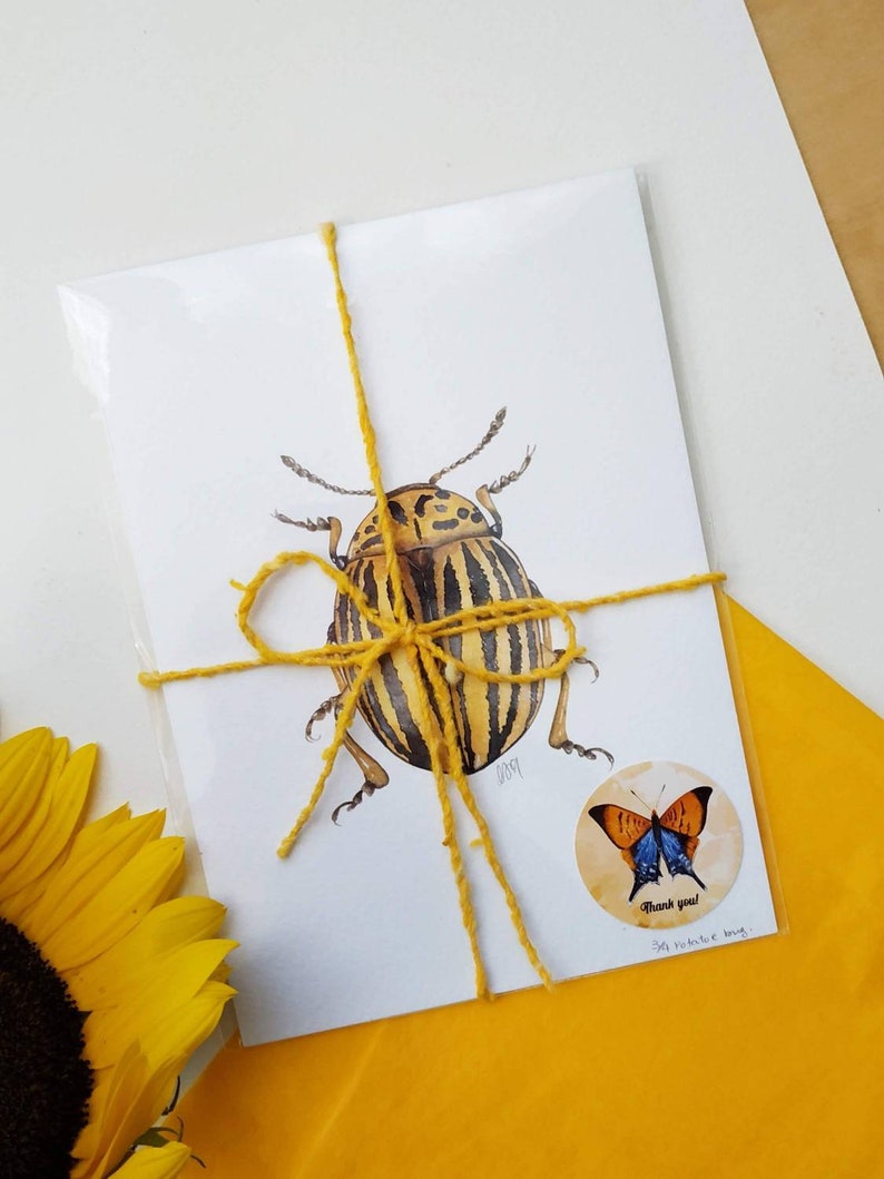 Insect Wall Art Print of Beetle Watercolor Painting, Gift for Teacher ...