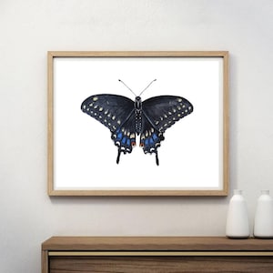 Black Swallowtail Butterfly Watercolor Art Print - Etsy
