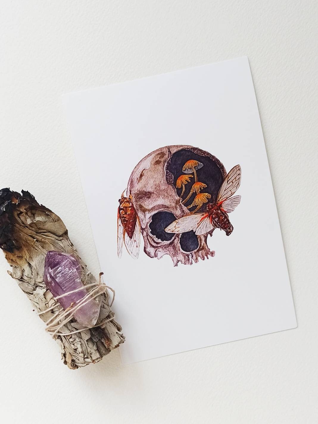 Cicada Skull Art Print Witchy Mushroom Insects Wall Decor - Etsy