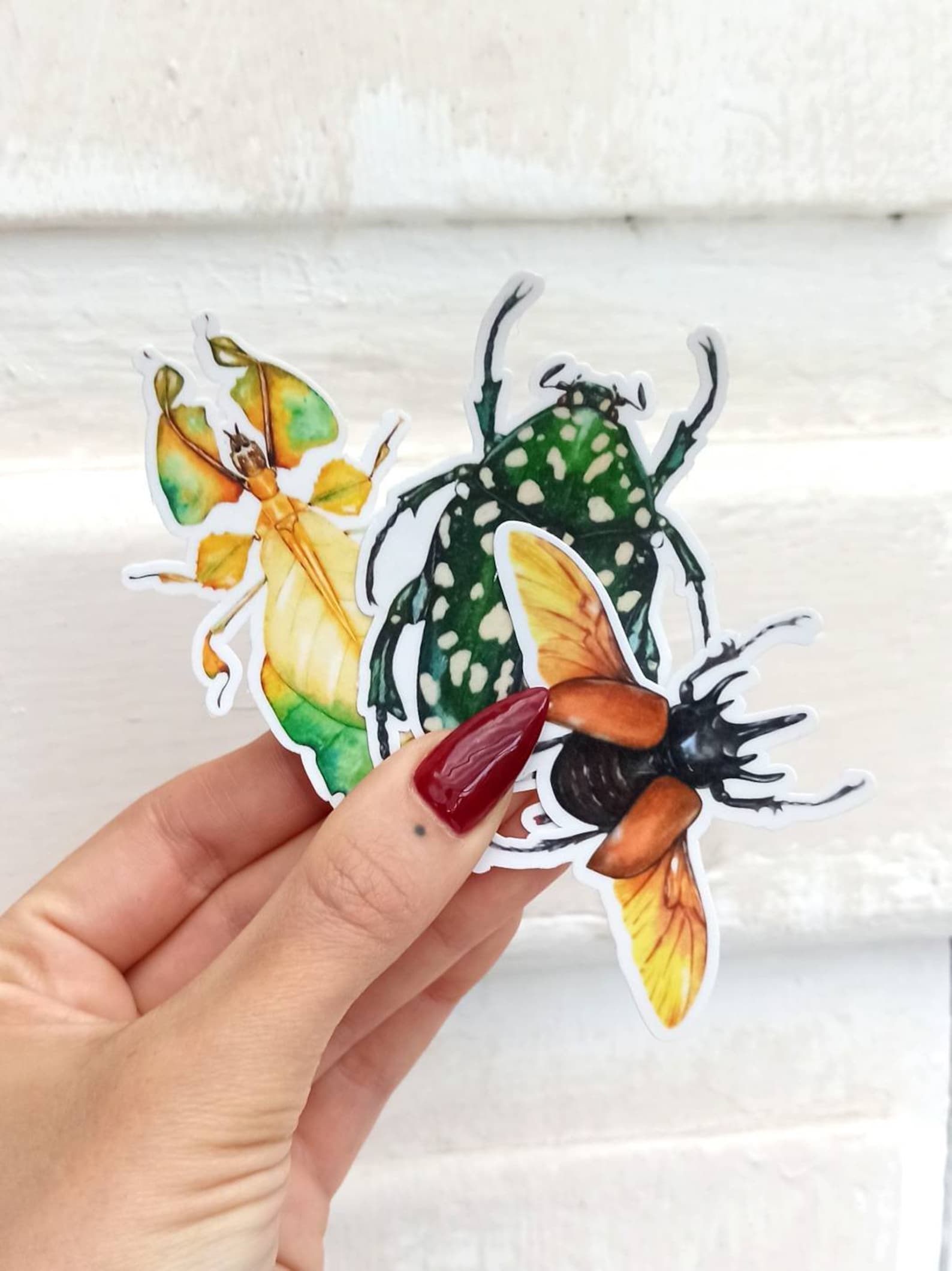 Bugs Sticker Pack, Waterproof, Leaf Insect and Beetles, Hydroflask ...