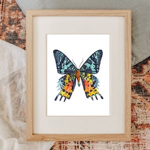 Sunset Moth Art Print of Watercolor Painting, Butterfly Pinned Art ...