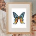Sunset Moth Art Print of Watercolor Painting, Butterfly Pinned Art ...