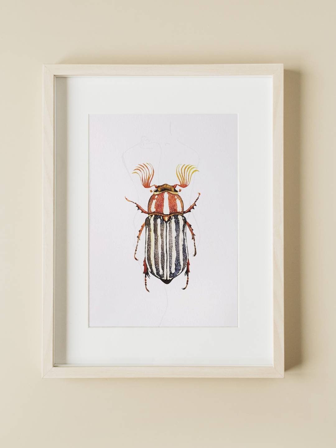 June Beetle Watercolor Print, Pinned Insect Art, Entomology Gift ...