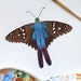 Butterfly Watercolor of Morpho Anaxibia, Madagascar Sunset Moth, Starry ...