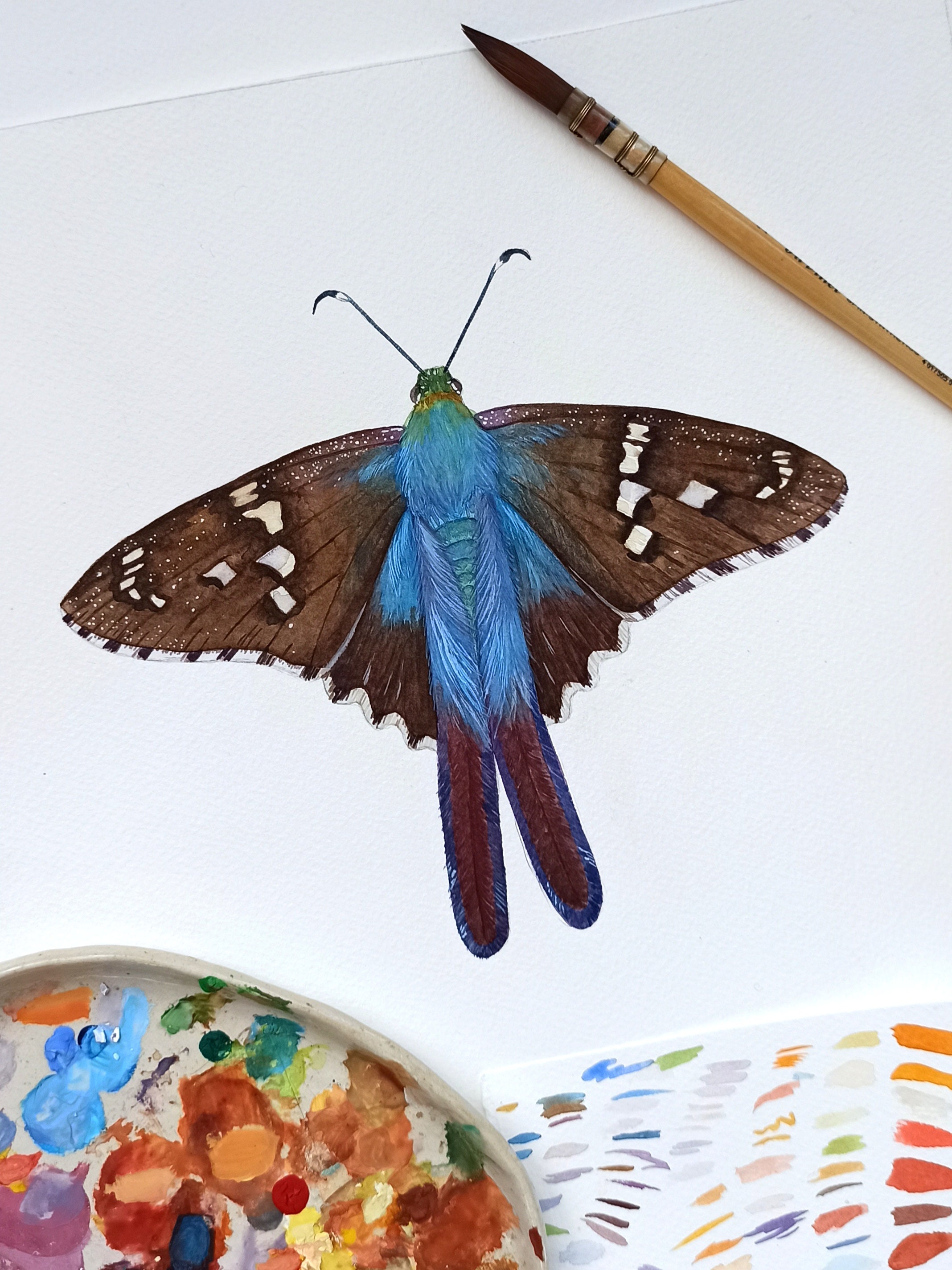 Butterfly Watercolor of Morpho Anaxibia, Madagascar Sunset Moth, Starry ...