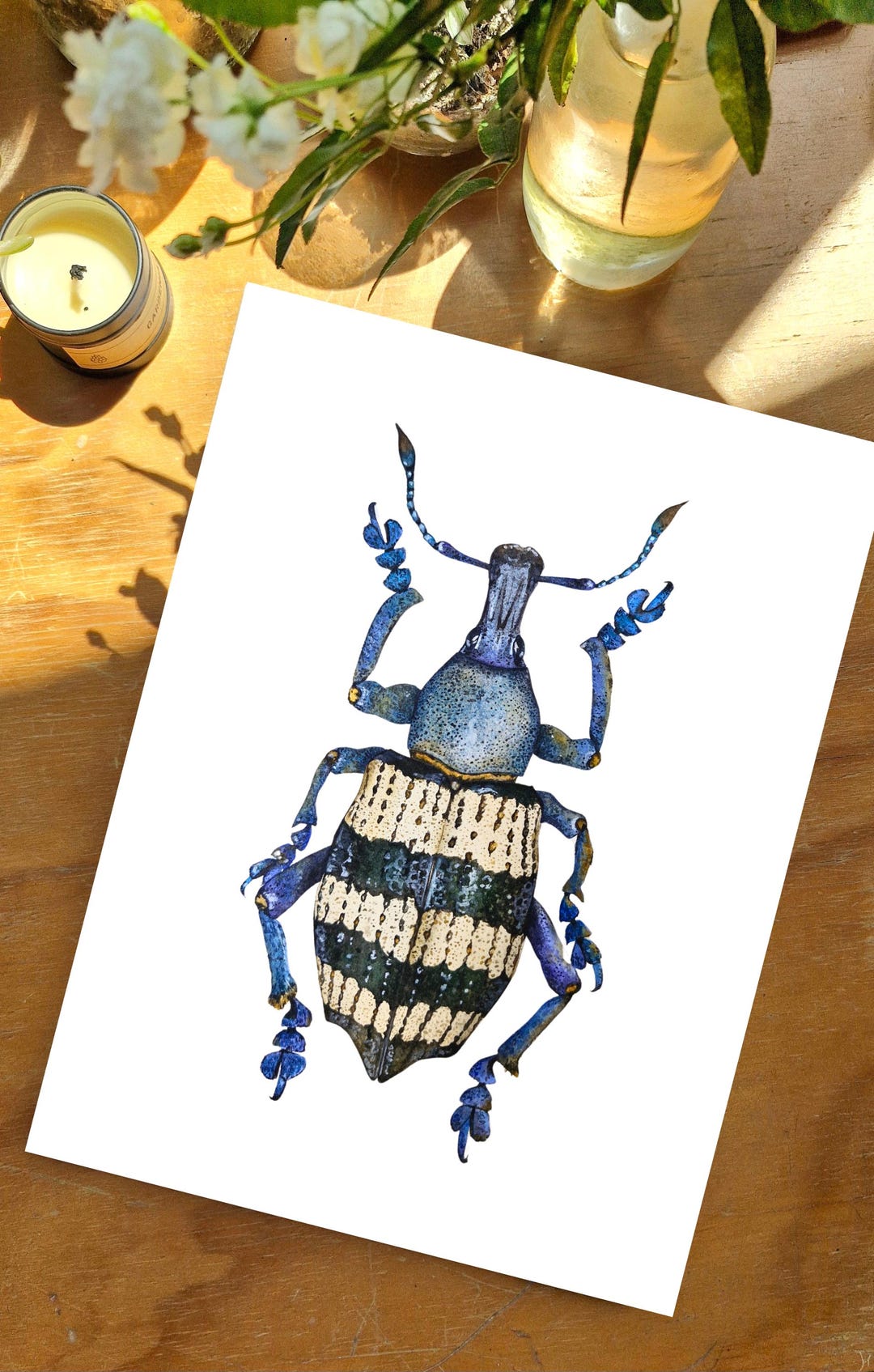 Blue Weevil Insect ORIGINAL WATERCOLOR ILLUSTRATION - Etsy